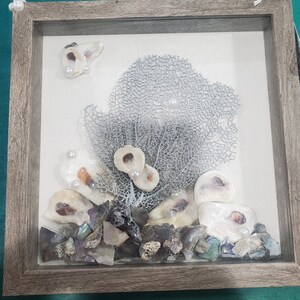 Coastal Shadow Box Group Natural Beach Shells Framed Beach Neutral ...