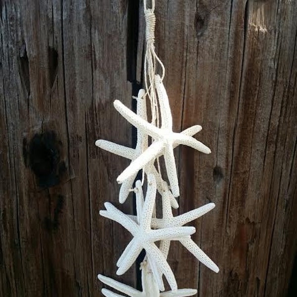 Starfish Hanger - Etsy