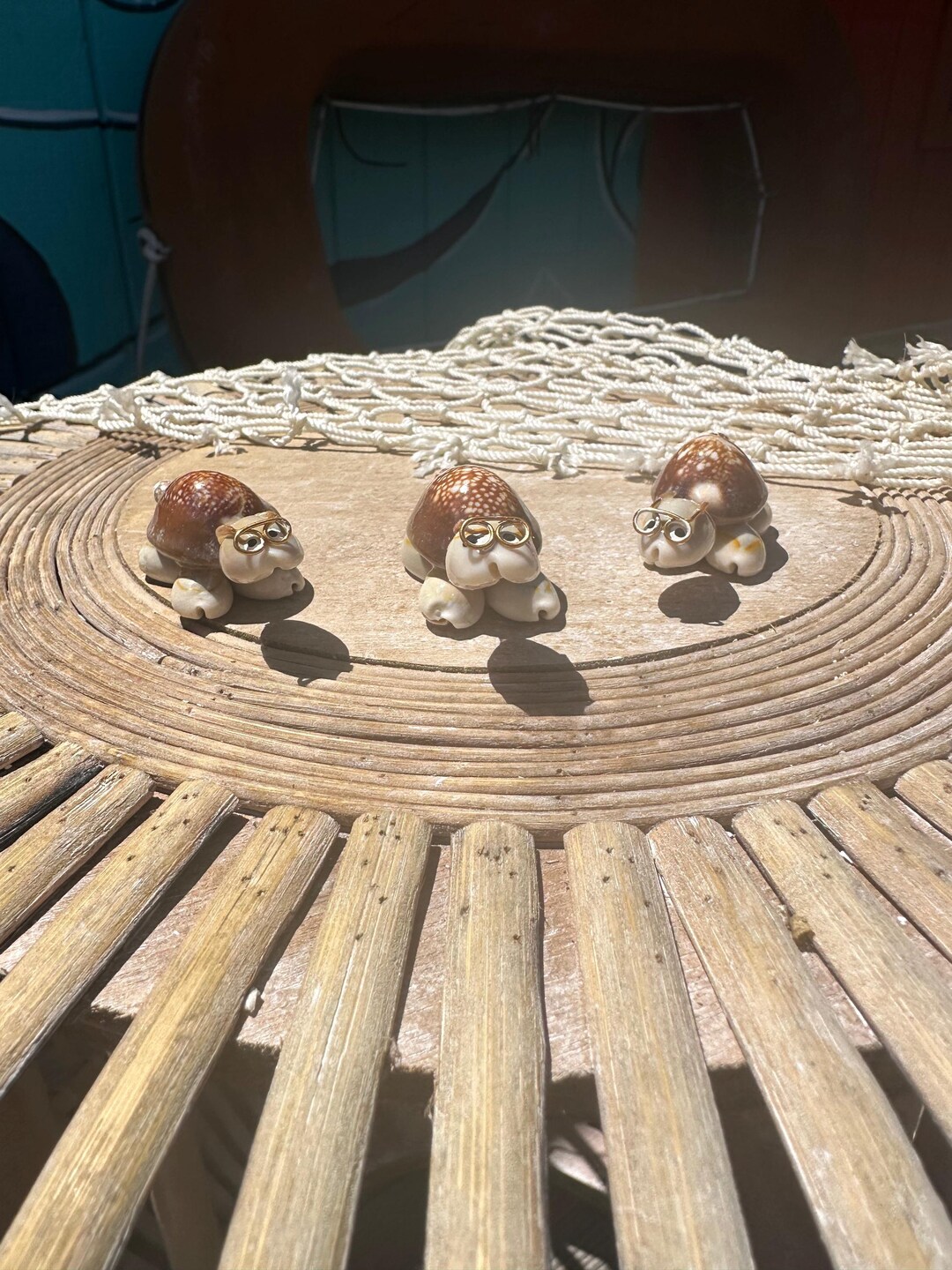 Sea Turtle Seashell Critters - Etsy