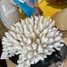 Vintage Table Coral 11.5 Authentic Coastal Coast Ocean Sea Life Salt ...