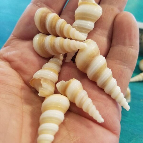 Mermaid Crowns - Etsy