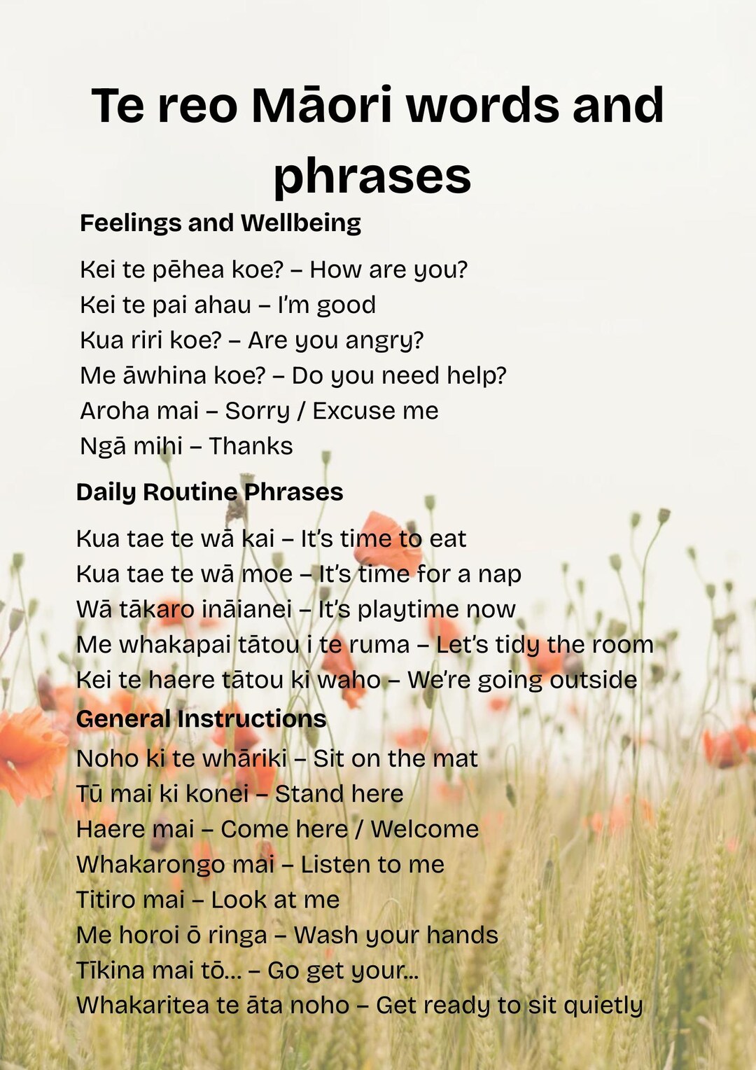 Editable Learning Story Template and More | Te Whāriki Aligned | NZ ECE ...