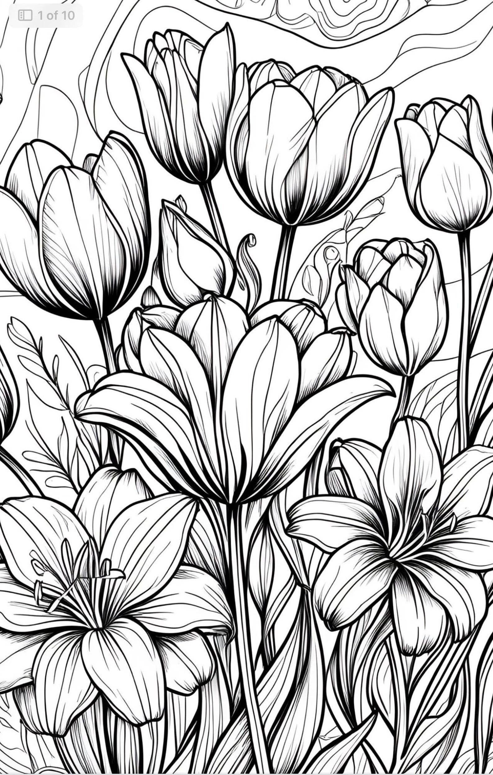 20 Assorted Floral and Nature Coloring Pages - Etsy