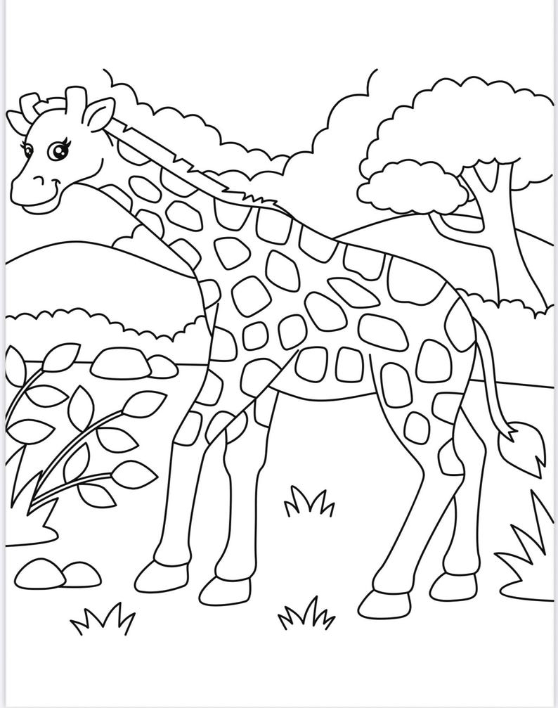 10 Bold and Easy Animal Coloring Pages for Kids - Etsy
