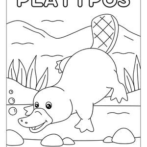 Australian Animals Coloring Book PDF - Educational Wildlife Art ...