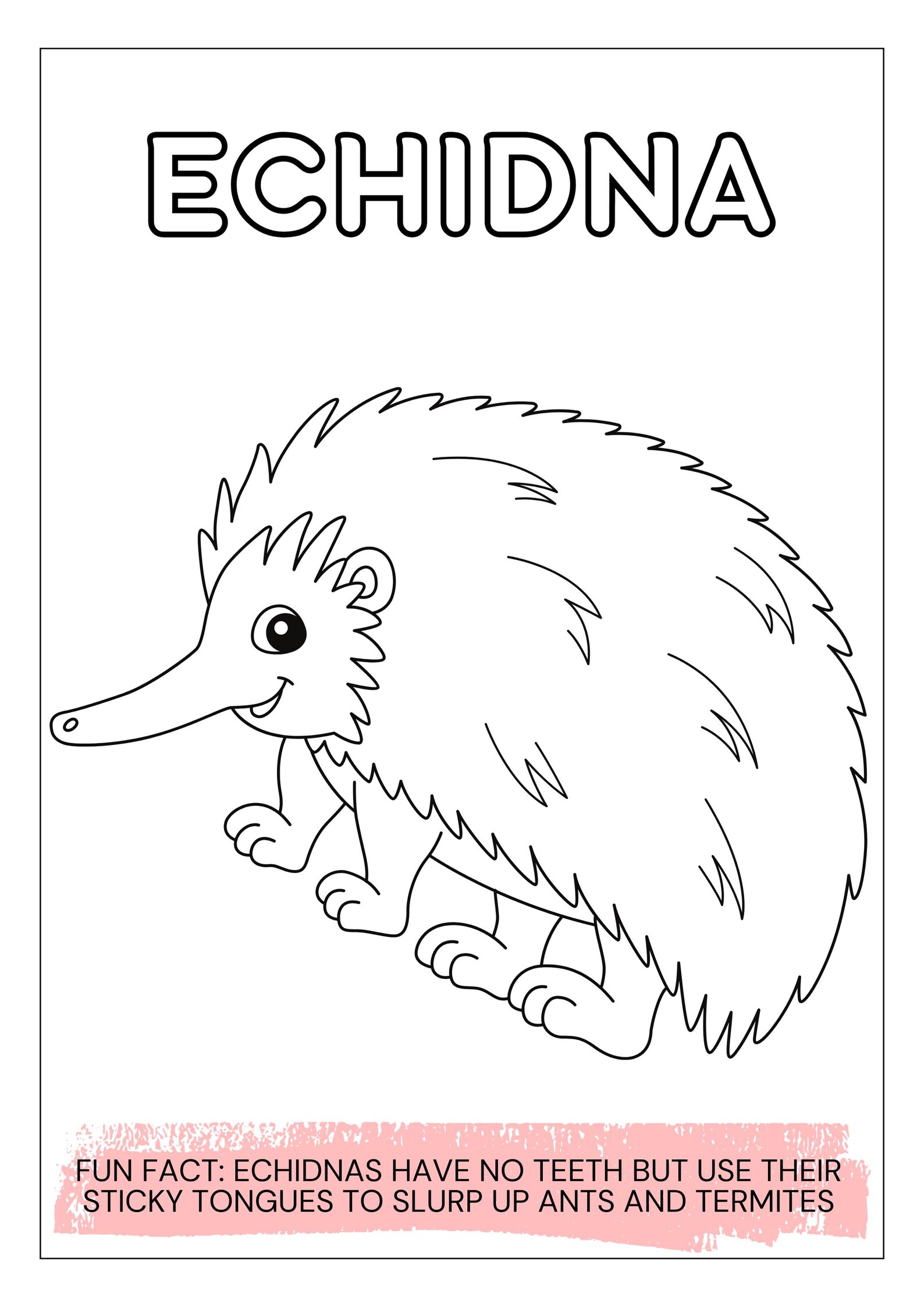 Australian Animals Coloring Book PDF - Educational Wildlife Art ...