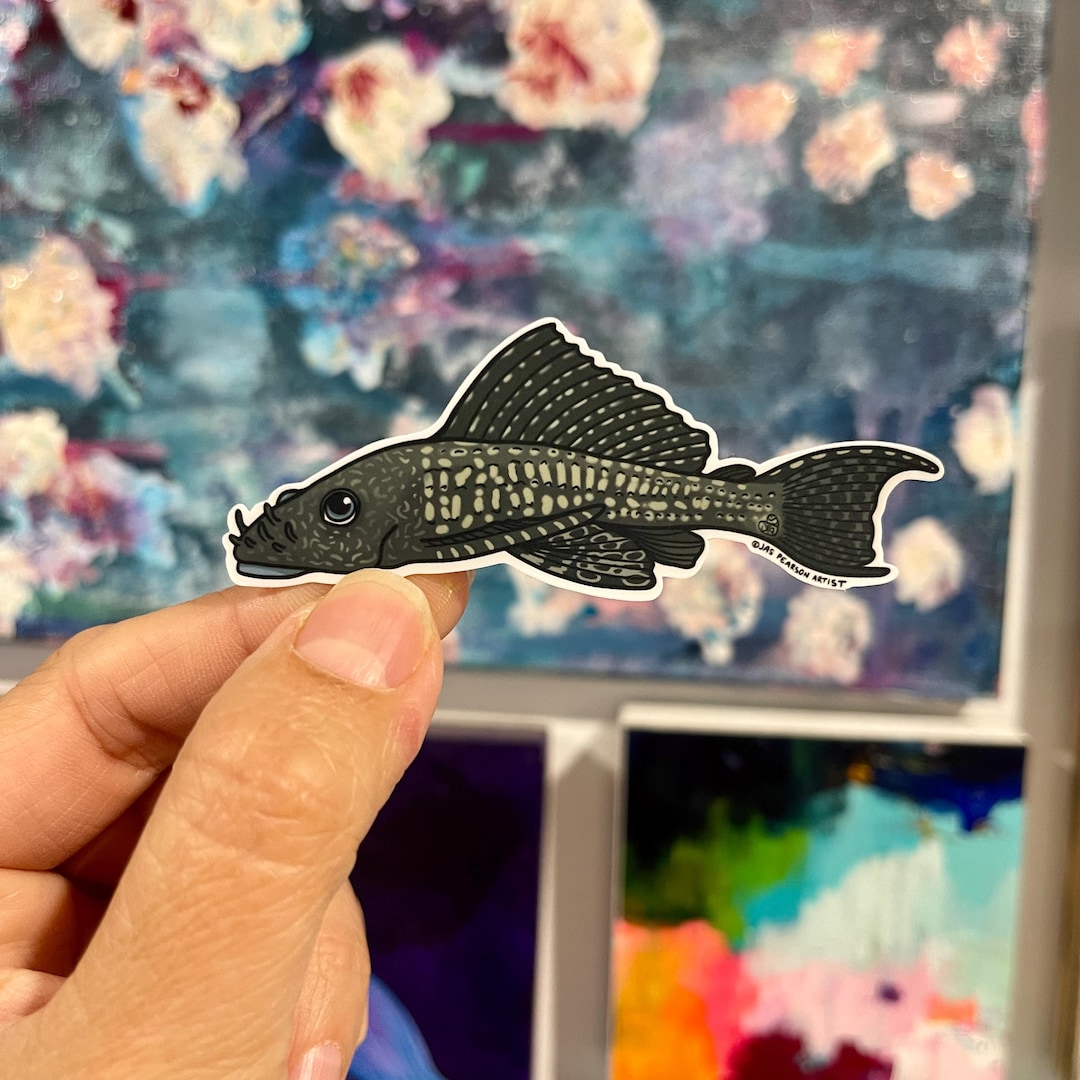 Bristlenose Pleco Catfish Vinyl Sticker - Etsy