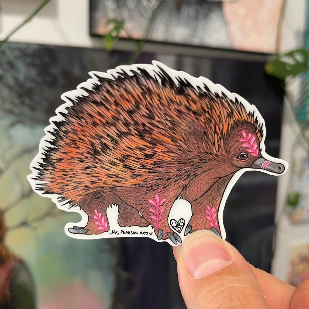 Echidna Vinyl Sticker - Etsy