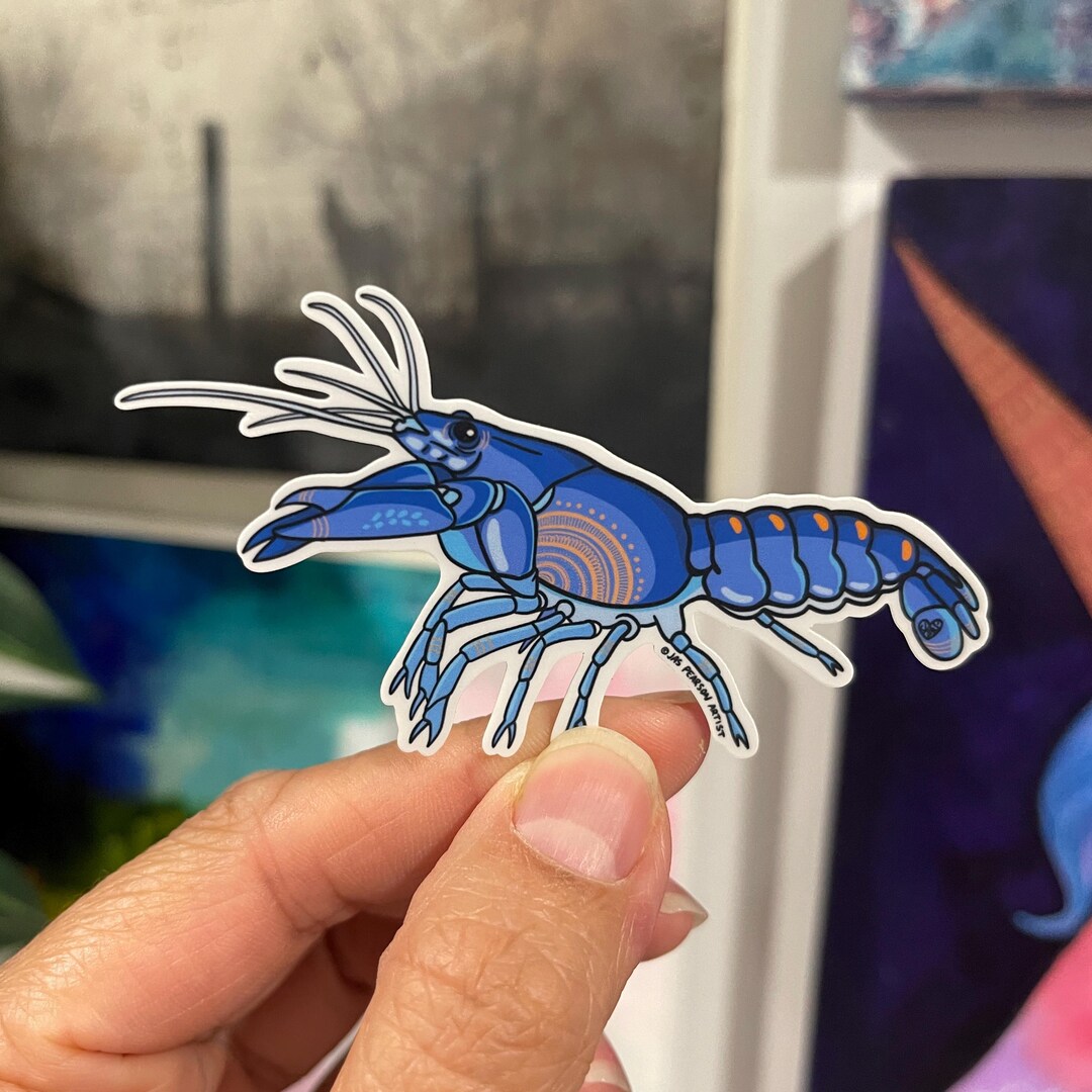Blue Yabby Vinyl Sticker - Etsy Australia