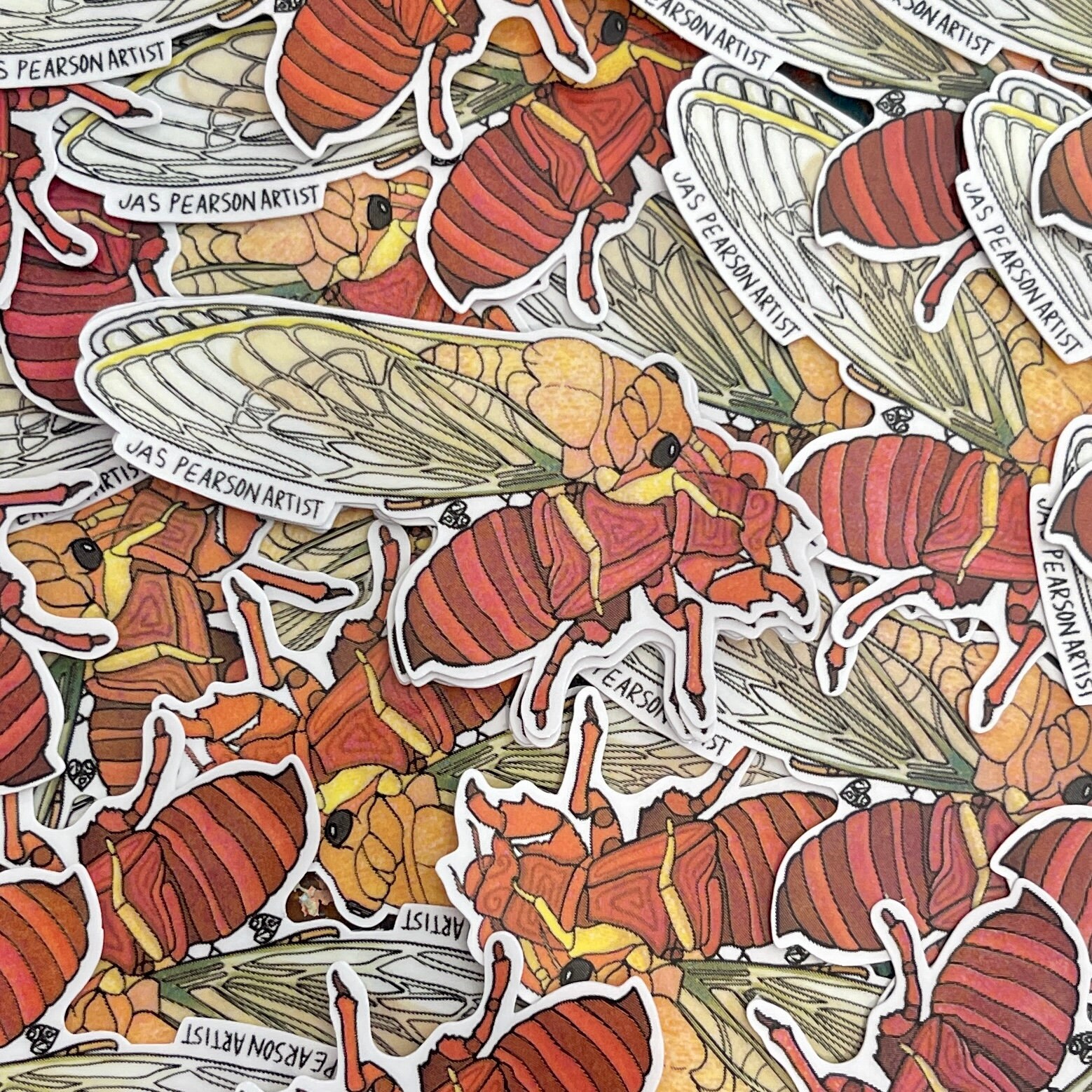 Cicada Vinyl Sticker - Etsy