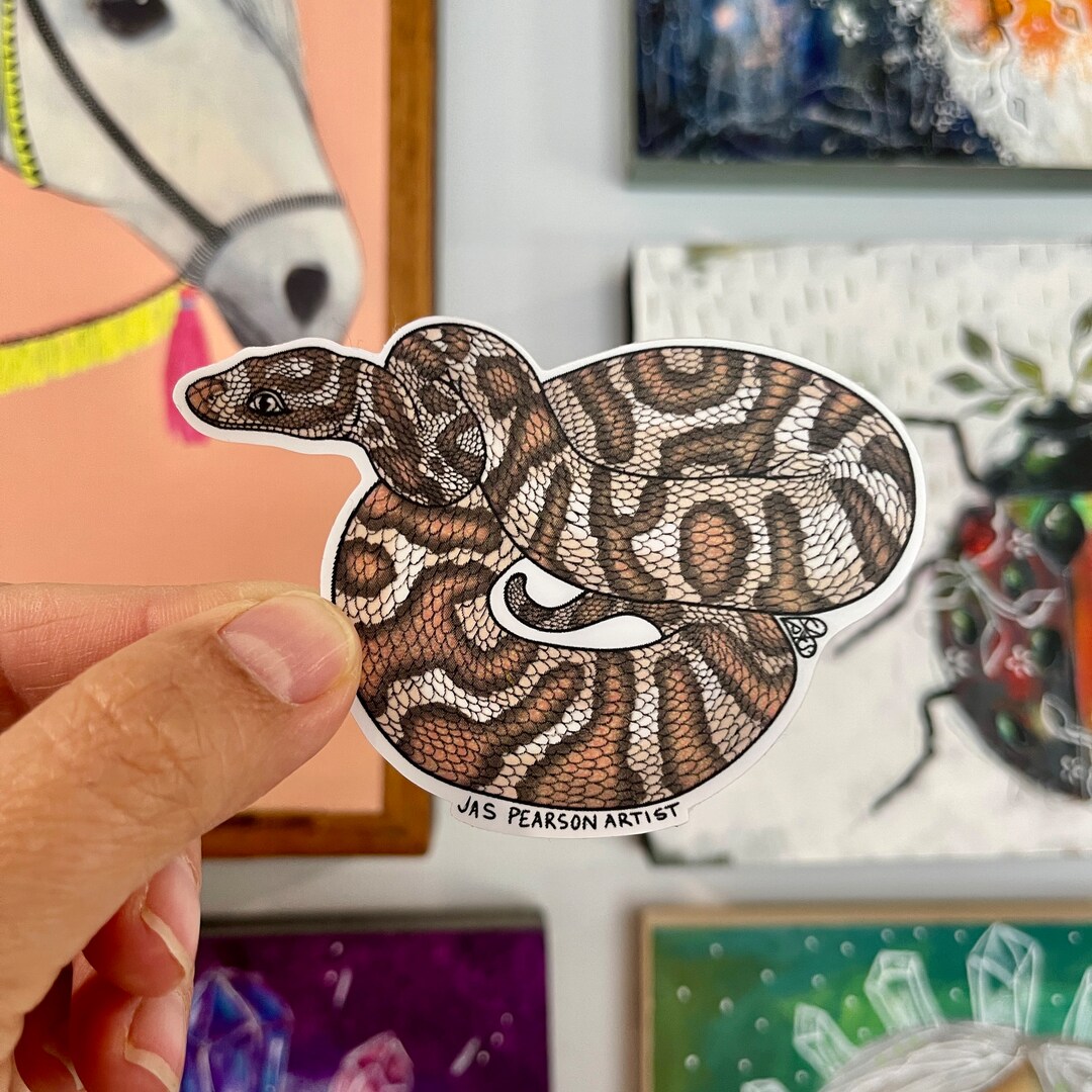 Carpet Python Vinyl Sticker - Etsy