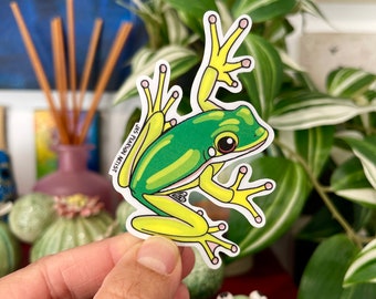 Frog Sticker 3 Vinyl Waterproof Sticker, Tree Frog, Green Frog, Art ...