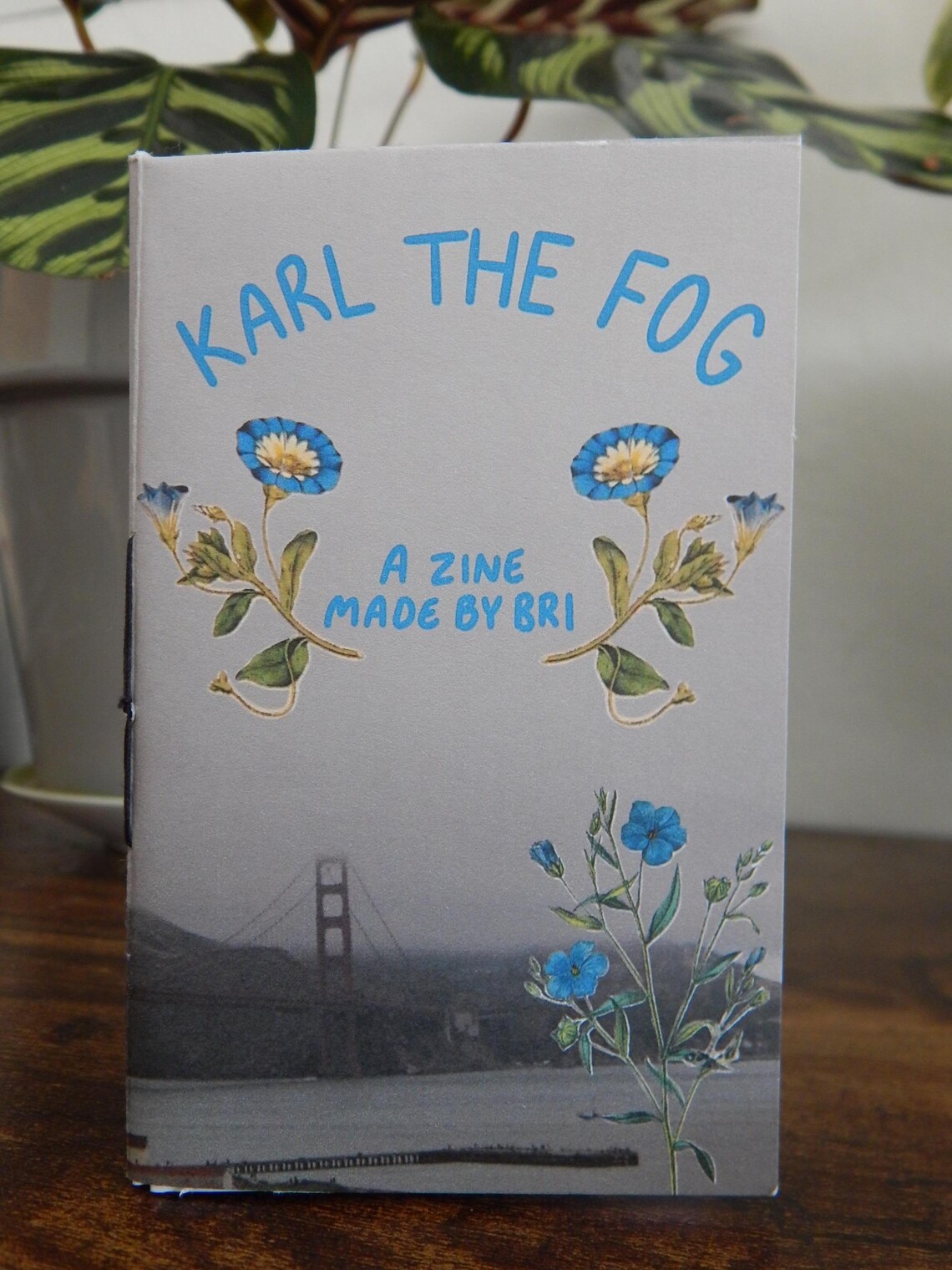 Karl the Fog Zine - Etsy