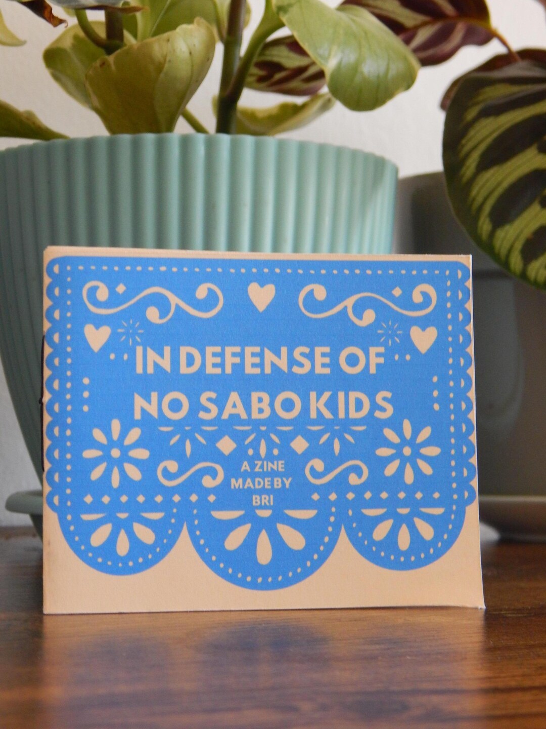 In Defense of No Sabo Kids Zine - Etsy