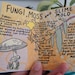 I Love Planet Earth Zine - Etsy