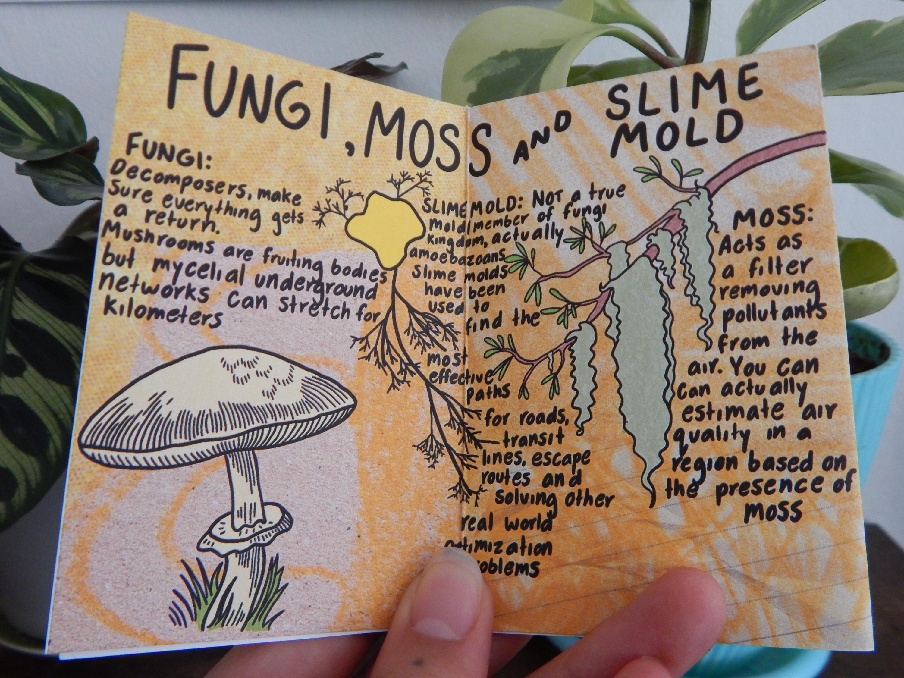 I Love Planet Earth Zine - Etsy