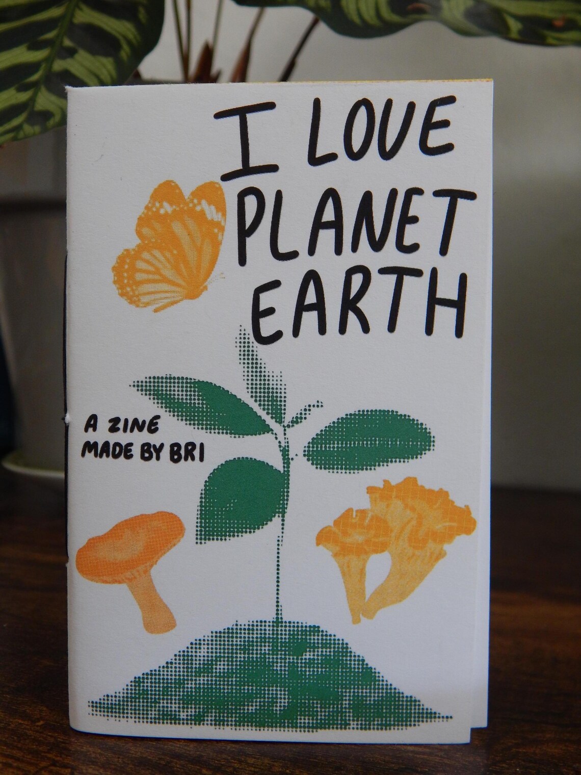 I Love Planet Earth Zine - Etsy