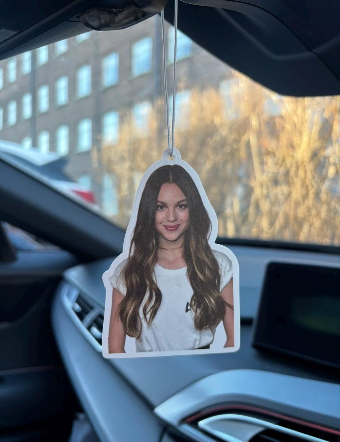 Olivia Rodrigo Car Air Freshener, Music Gift, Birthday Gift, Gift for ...