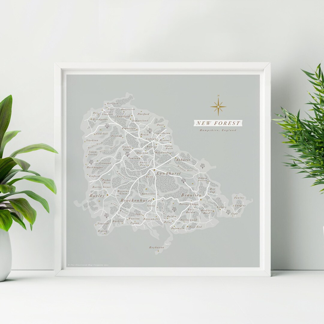 Unframed New Forest Map Print. New Forest Illustrated Map. UK National ...