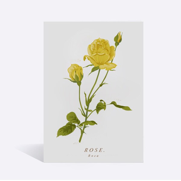 Yellow Rose Birthday Card - Etsy