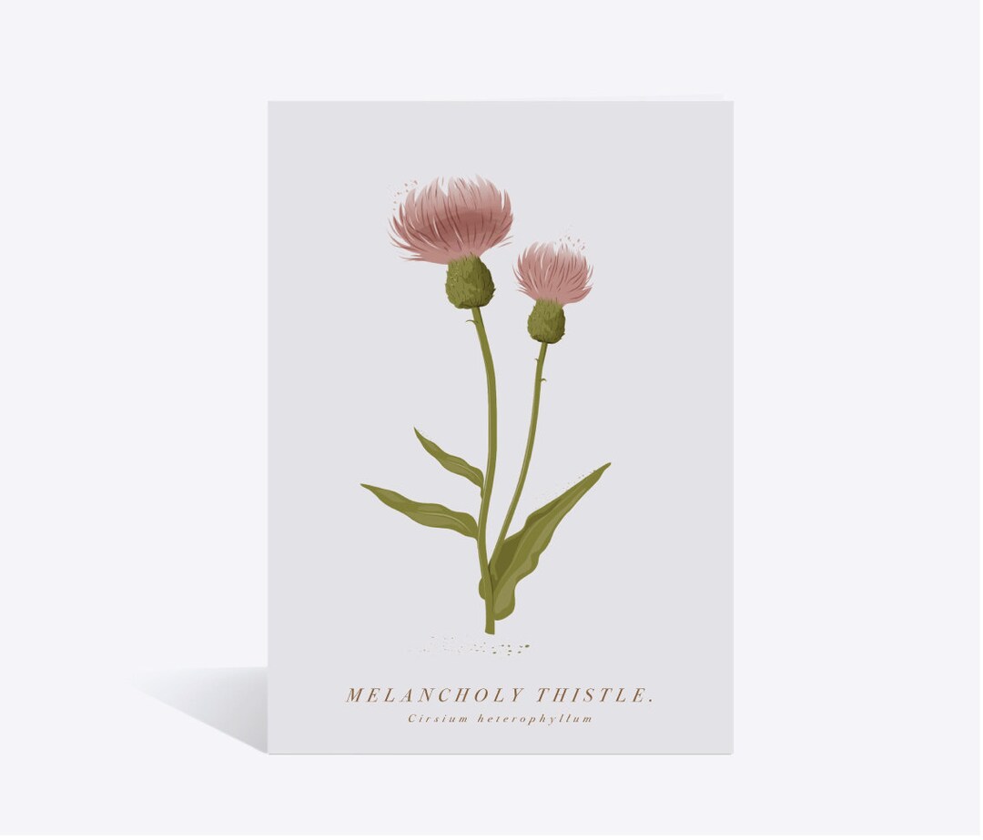 Thistle Card. A6. Kraft Envelope. Mothers Day Flower Card. Botanical ...