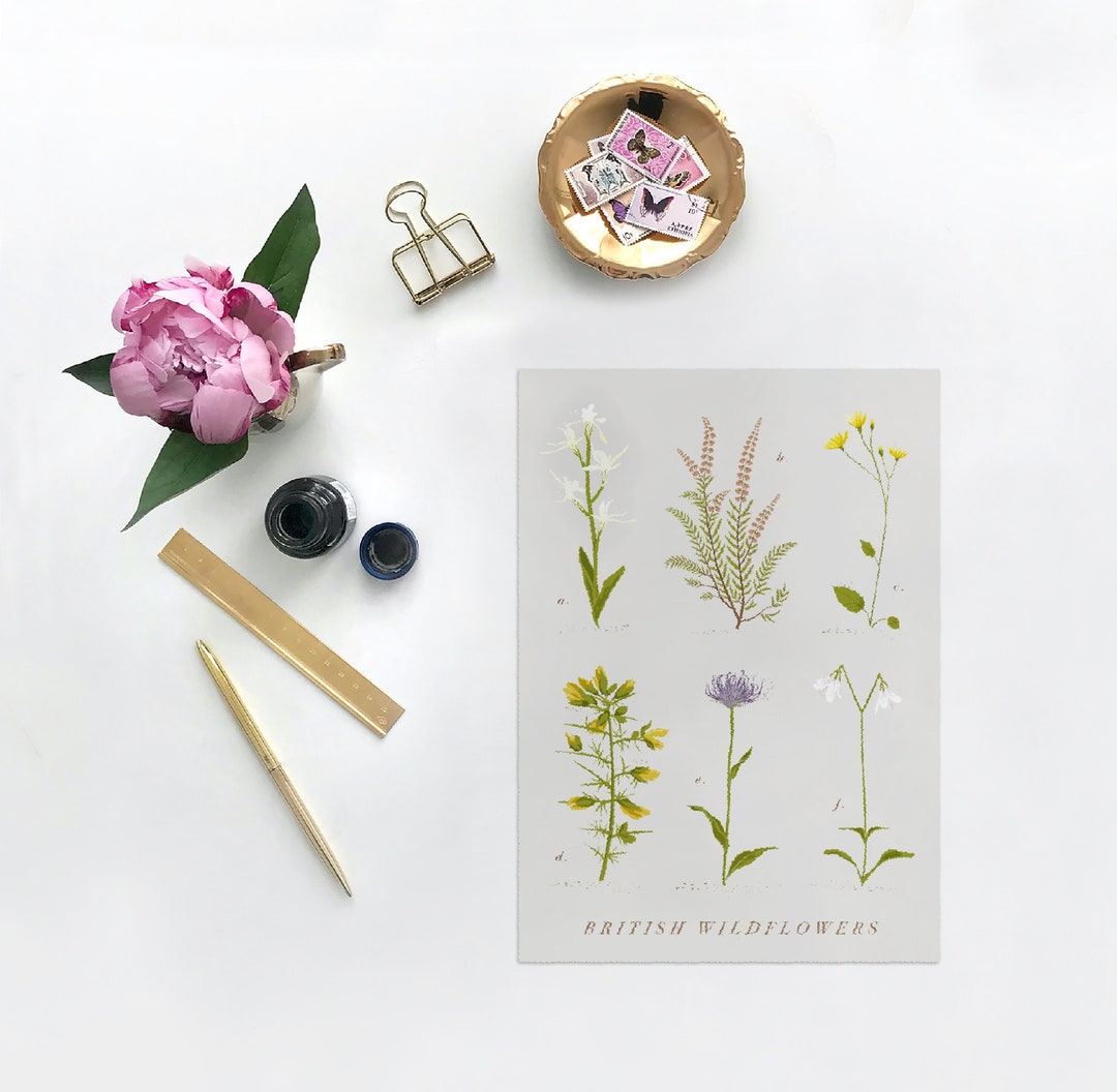 Set of 11 Wildflower Postcards. British Botanical Postcards. Wildflower ...