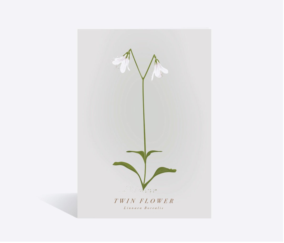 Twin Flower Card. A6. Kraft Envelope. Mothers Day Flower Card ...