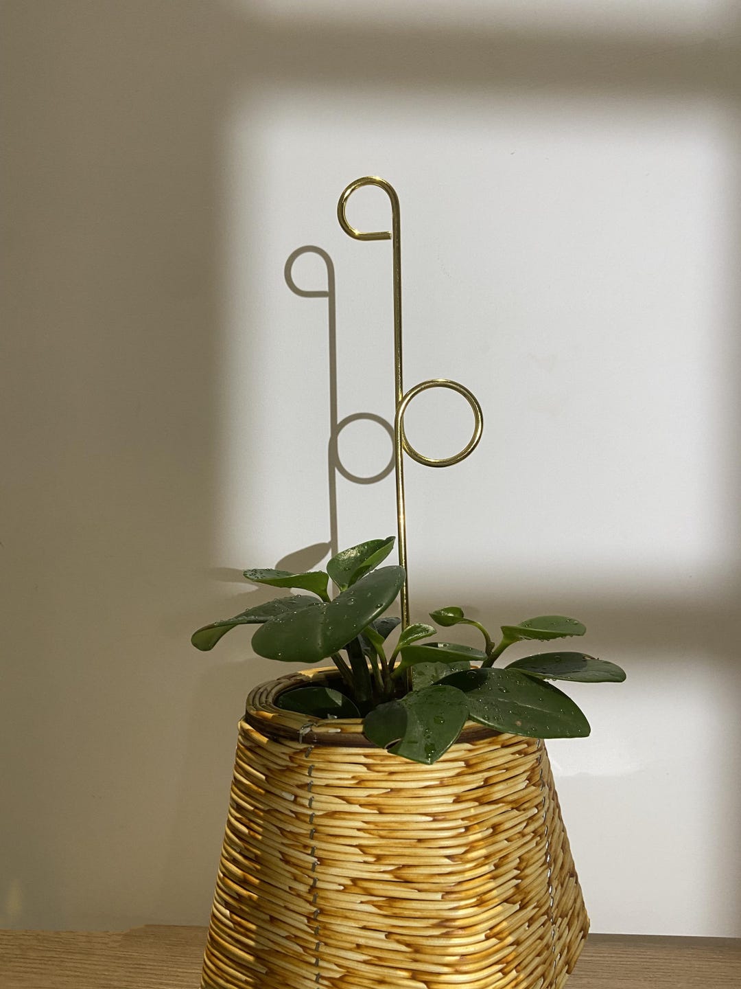 Modern Metal Plant Support Pole: Sturdy Indoor Plant Stake - Etsy