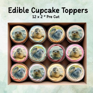 Seal Edible Cupcake Toppers 12 X 2"– Pre Cut Wafer Paper, Card or Icing ...