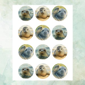 Seal Edible Cupcake Toppers 12 X 2"– Pre Cut Wafer Paper, Card or Icing ...