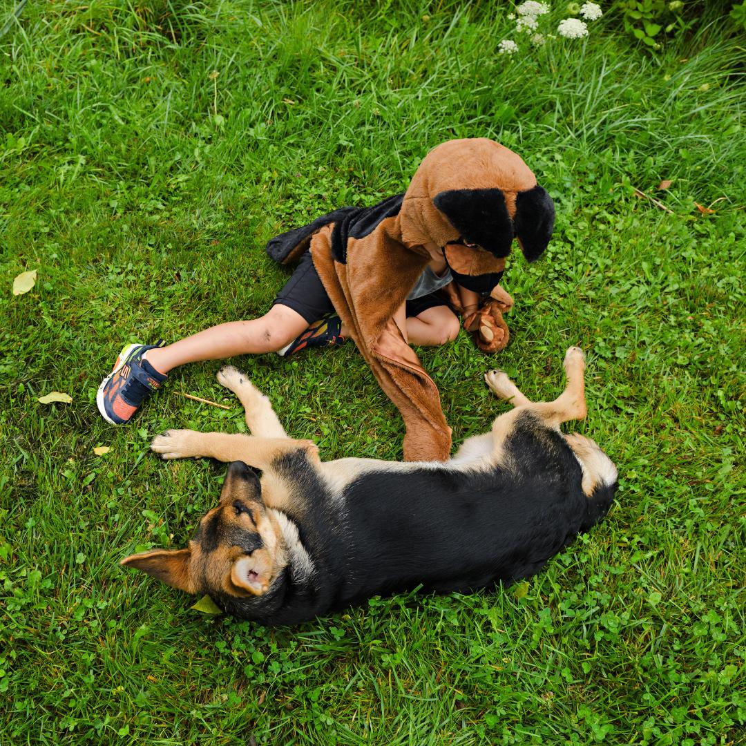 German Shepherd Cuddle Cape, Dog Costume for Kids, Fluffy German ...