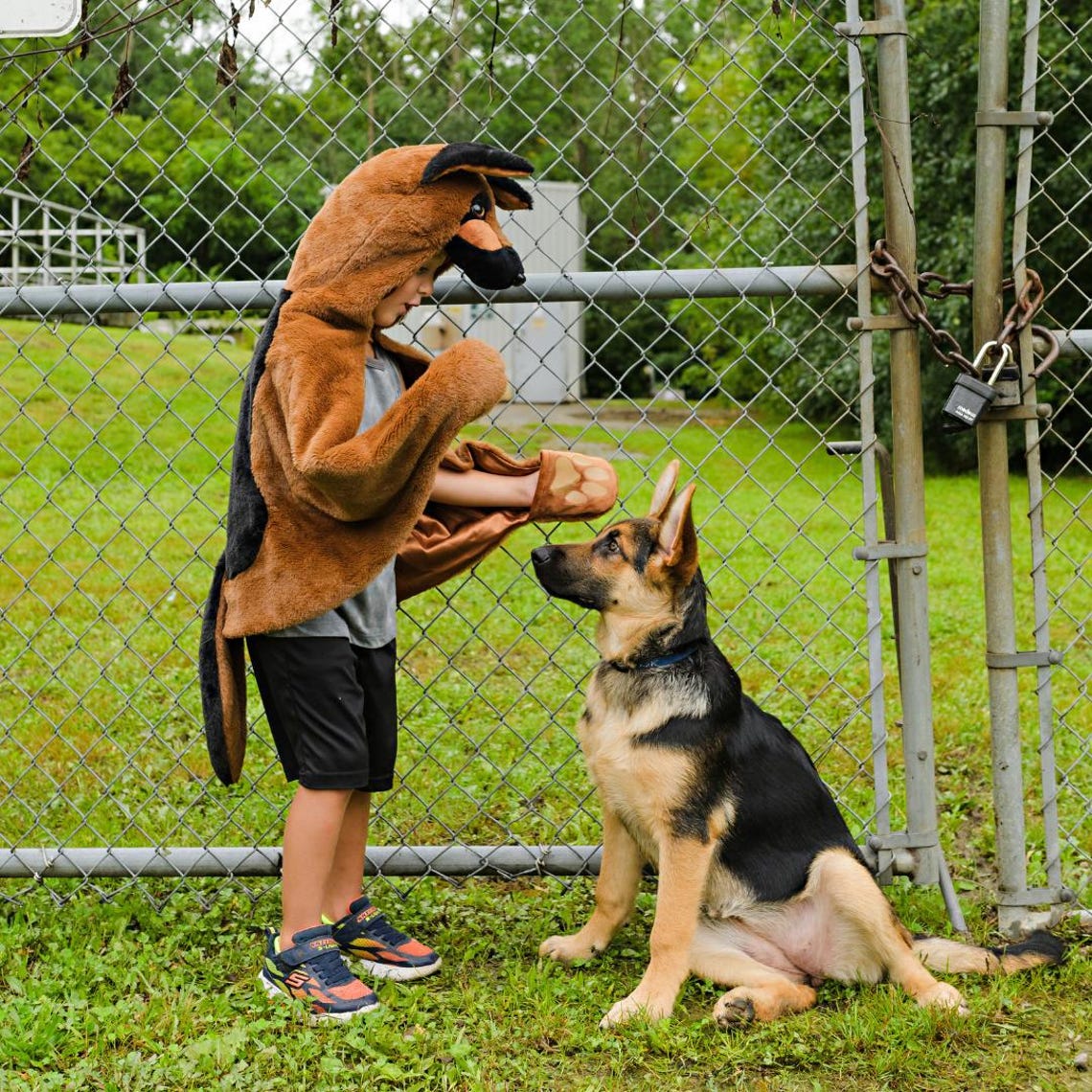 German Shepherd Cuddle Cape, Dog Costume for Kids, Fluffy German ...