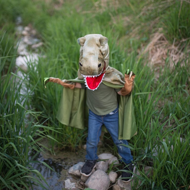 T. Rex Costume Kids - Etsy