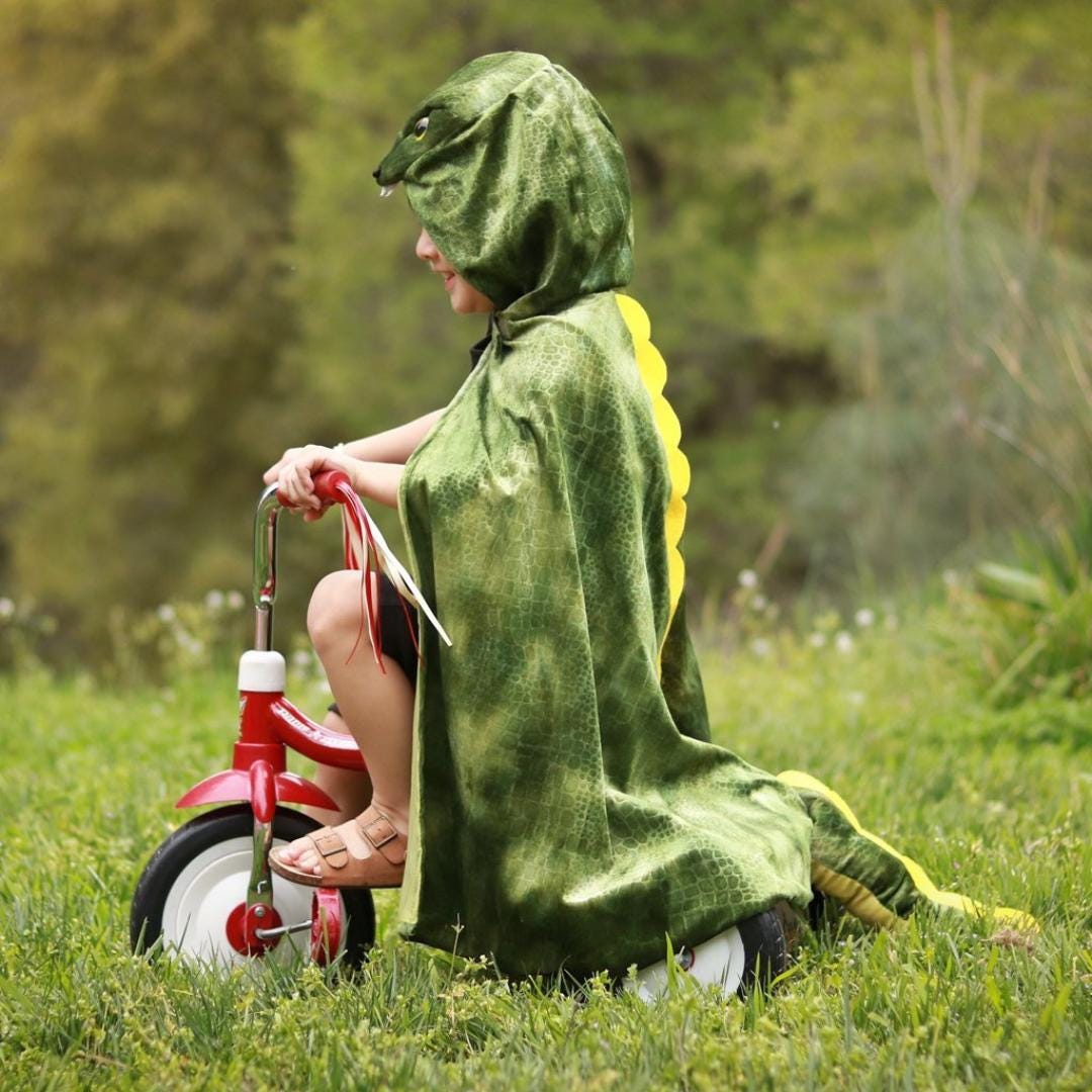 Dinosaur Cape for Toddler T-rex Dress up Costume Cape for Halloween and ...
