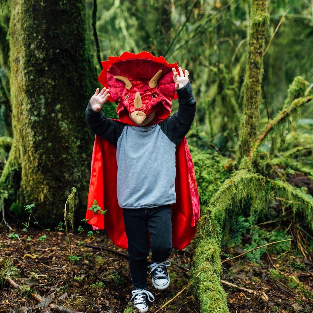 Triceratops Hooded Cape Triceratops Cape, Dinosaur Cape for Kids, Dress ...