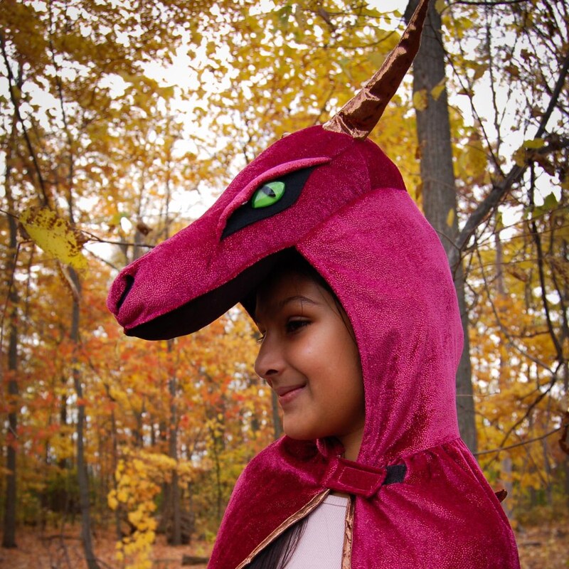 Shrek Dragon Costume - Etsy