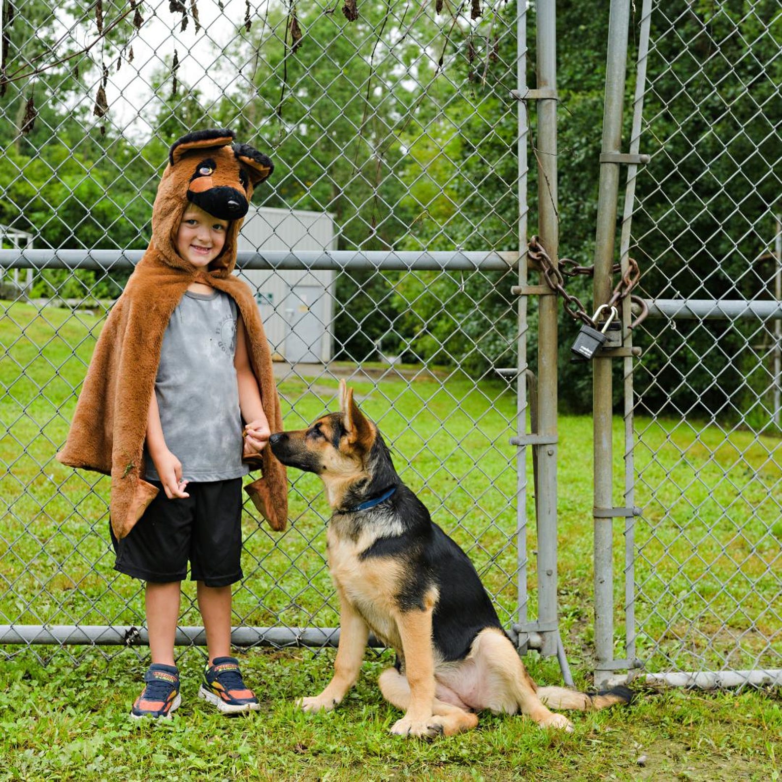 German Shepherd Cuddle Cape, Dog Costume for Kids, Fluffy German ...