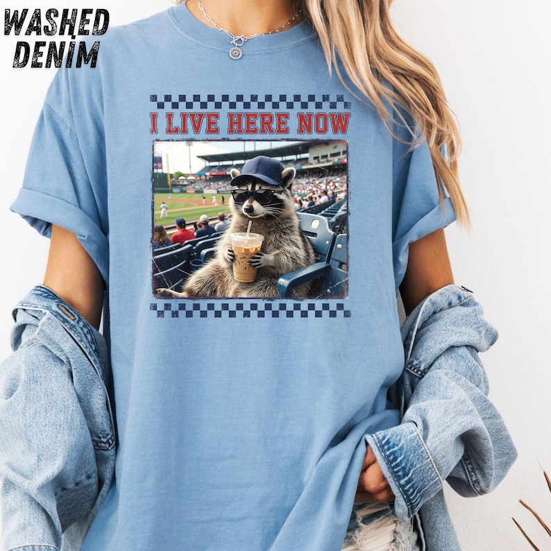 Comfort Colors Raccoon Baseball Shirt, Retro Sports Humor Trash Panda ...