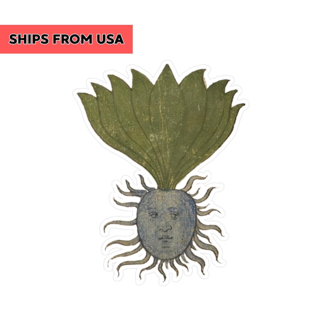 Ships From USA - Mandrake Root Sticker - Medieval Marginalia Weird ...