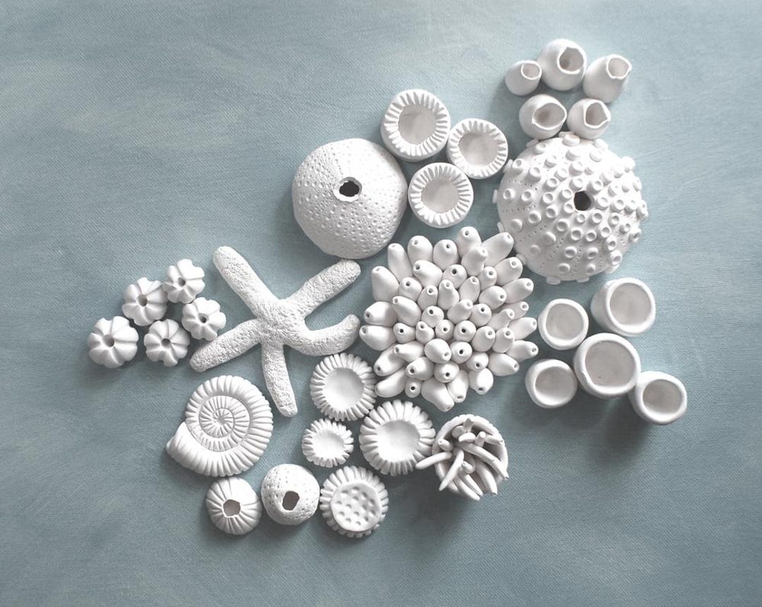 Clay Coral Wall Decor | Build Your 3D Reef Installation | Customizable ...