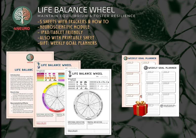 Life Balance Wheel: Self-reflection Tracker, Goal Planner, Coaching ...