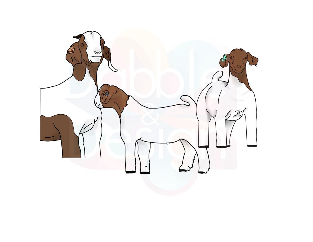 Boer Goat Graphics ( Trio of Individual Digital Graphics) - Etsy