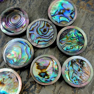 Abalone Black Lip Shell 20mm AAA 5mm Thick Flat Coins - Etsy