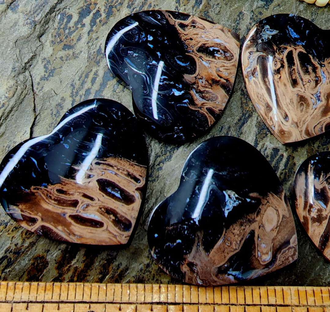 Heart, Cabochon, Palm Root Fossil, Grade AAA, Natural, Earthtones, 30mm ...