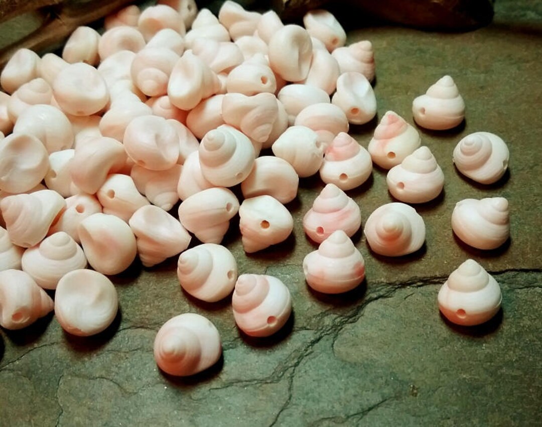 Snail Shells, Resin, 10mm, VINTAGE, Matte, Light Mixed Coral Pink ...