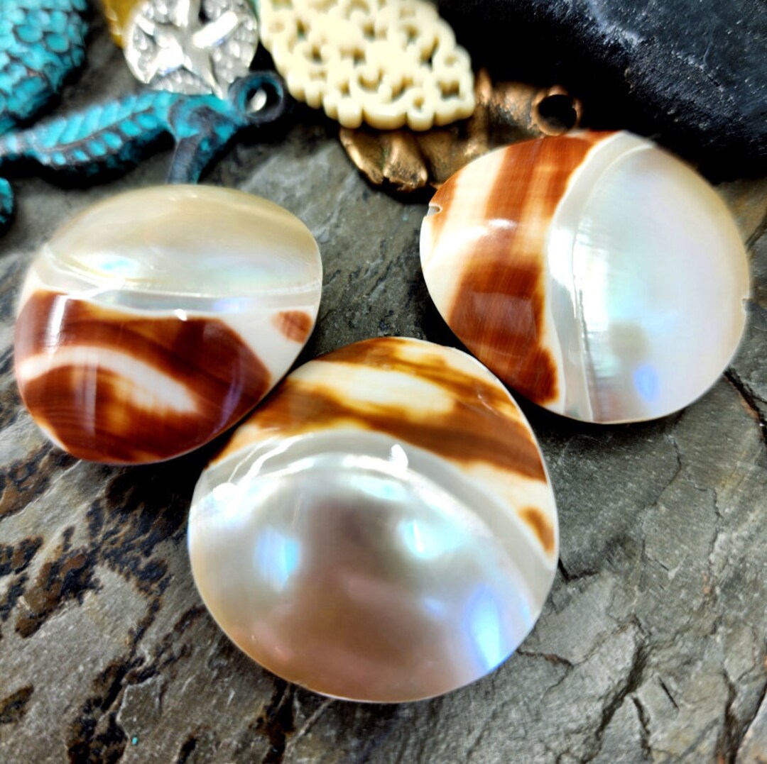 Puffed Round, Pendant, Shell, Chambered Nautilus, Moonstone Tiger, 35mm ...