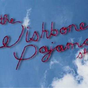 Conan Gray Wishbone Tour Canva Tickets - Etsy