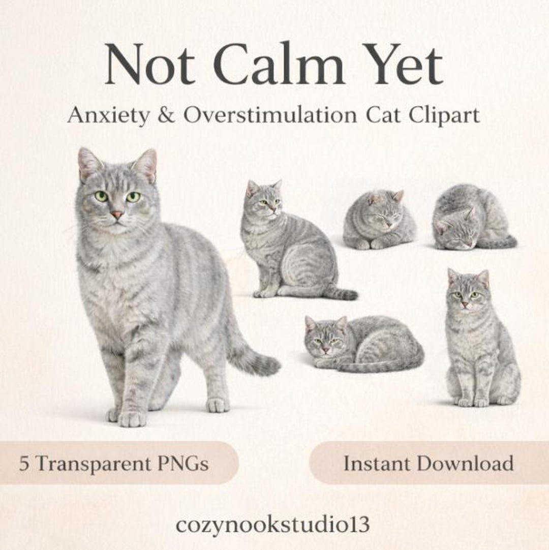 Not Calm yet Silver Cat Clipart Set 5 PNG Overstimulation Anxiety Art ...