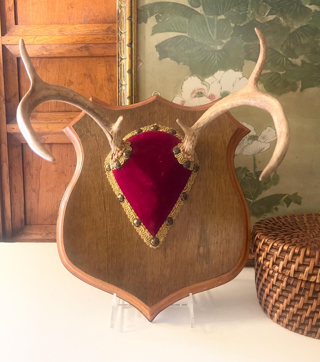 Vintage Mounted Antlers, Wall Gallery Decor, Six Point Antlers, Cabin ...