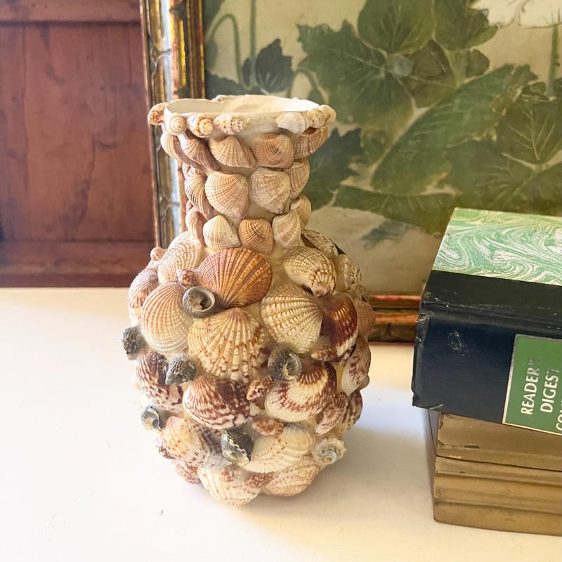 Seashell Vase - Etsy